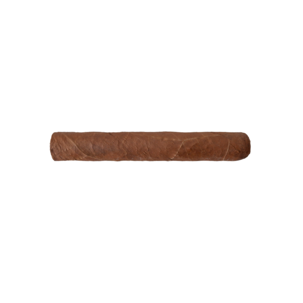 Cain Daytona Robusto 550: Eventful, Complex & Rich