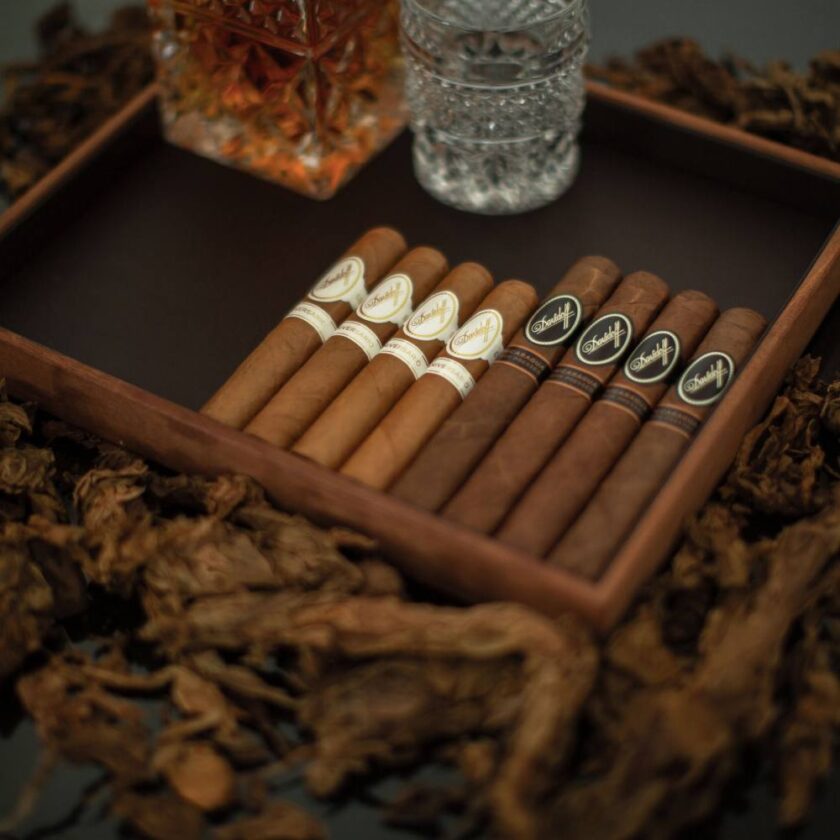 Davidoff Experience Cigar Bundle | The Cigar Holder Ltd